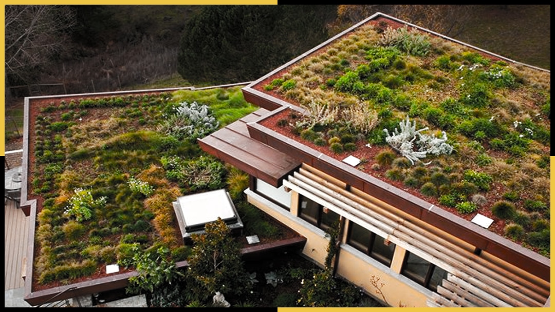 Tips to the Best Acreage Landscaping Ideas in Calgary